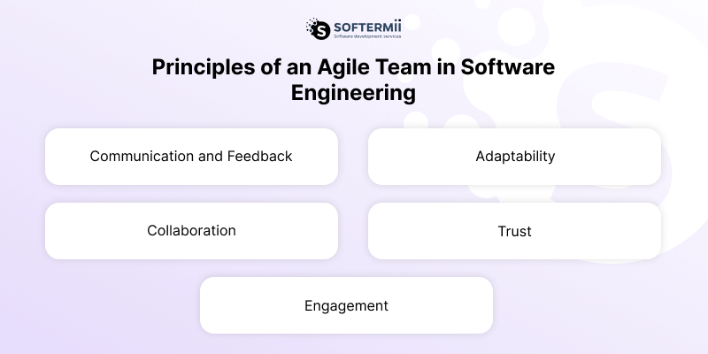 Agile Software Development: How to Implement & Build a Team