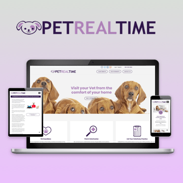 Software Developer Portfolio | Softermii